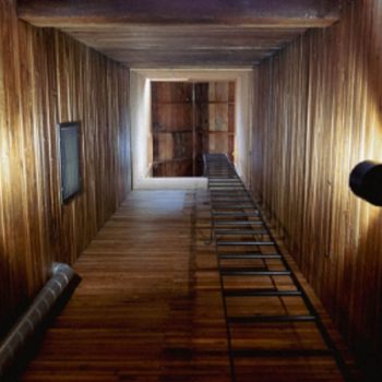 Visit Echo Ridge Cellars | Family-Friendly Oregon Winery & Events